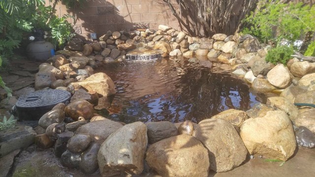 Simi Koi Pond Photo Gallery - Simi Koi Ponds